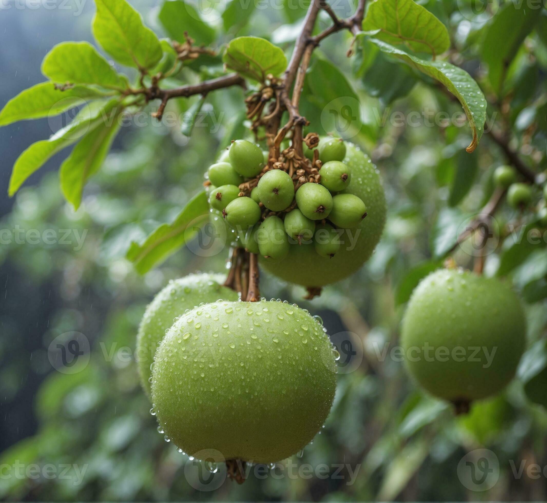 AI generated Green unripe fruits on the branches of an apple tree ...