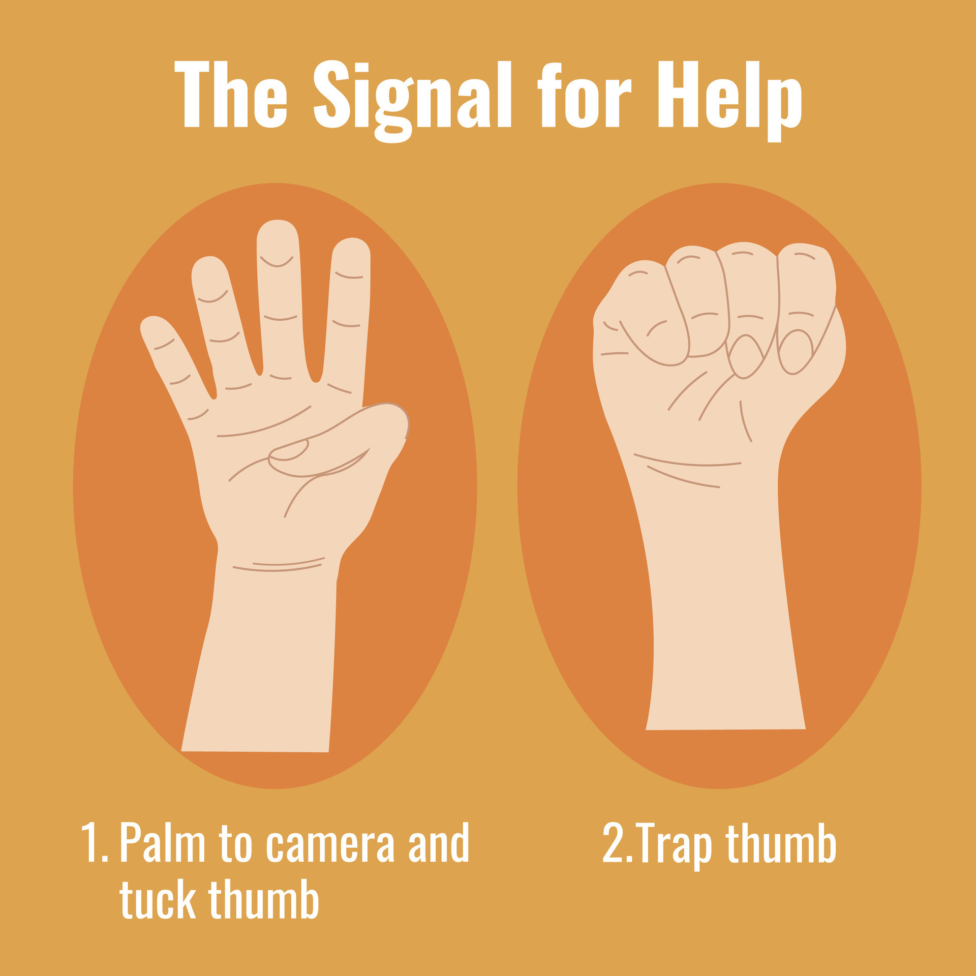 The Signal For Help The Violence At Home Signal For Help 36386663 The Signal For Help The Violence At Home Signal For Help 36386663