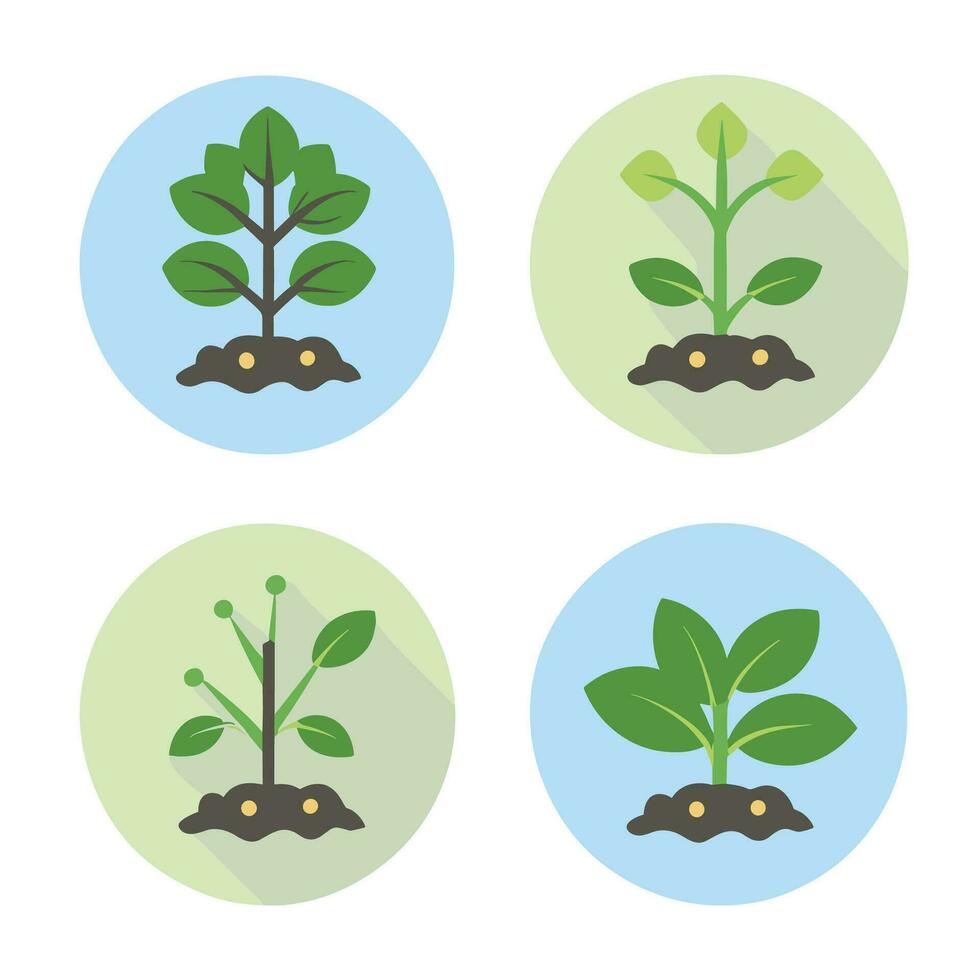 Flowers And Plants Seedling Process Flat Icons Set Isolated Vector