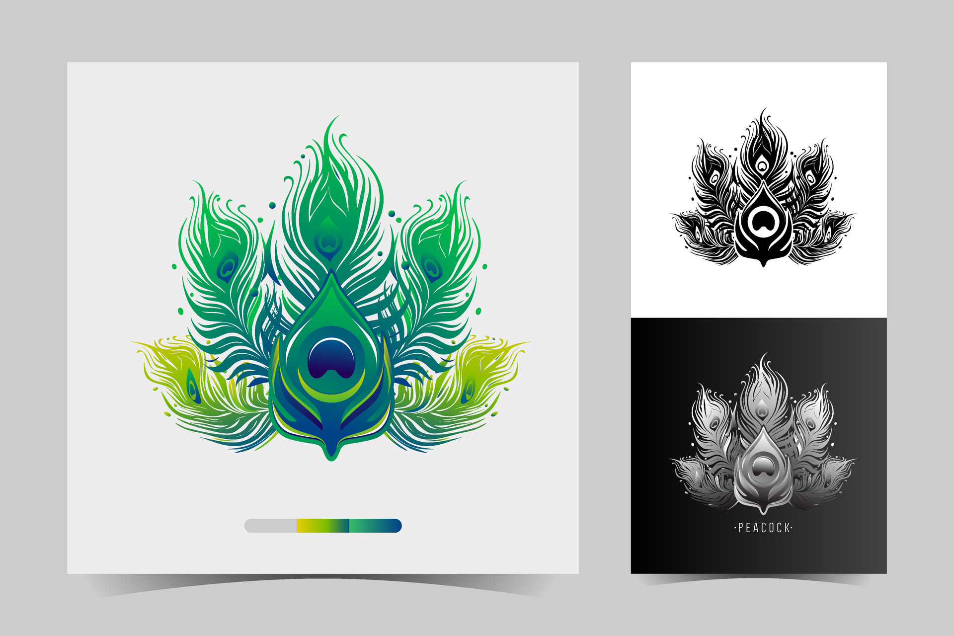 Vector Set Of Peacock Feather Design Elements 36418863 Vector Art At Vecteezy