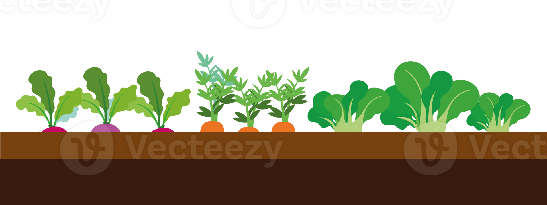 Vegetables growing on path 36420073 PNG Vegetables growing on path 36420073 PNG