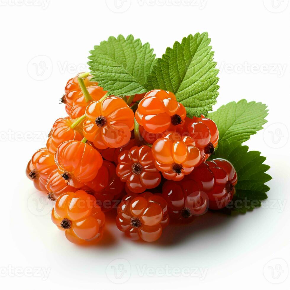 AI generated Fresh Cloudberry Berry. Pile of Rubus Chamaemorus ... AI generated Fresh Cloudberry Berry. Pile of Rubus Chamaemorus ...