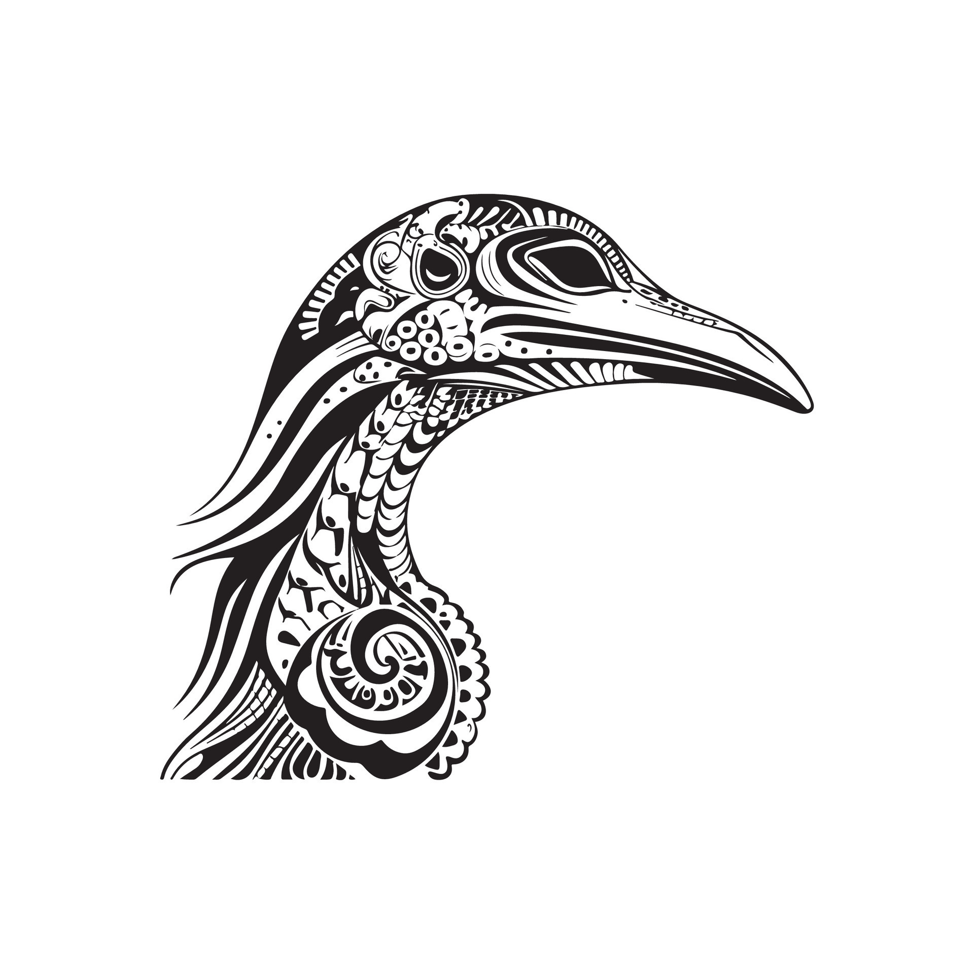 Peacock Head Vector Images 36430736 Vector Art At Vecteezy