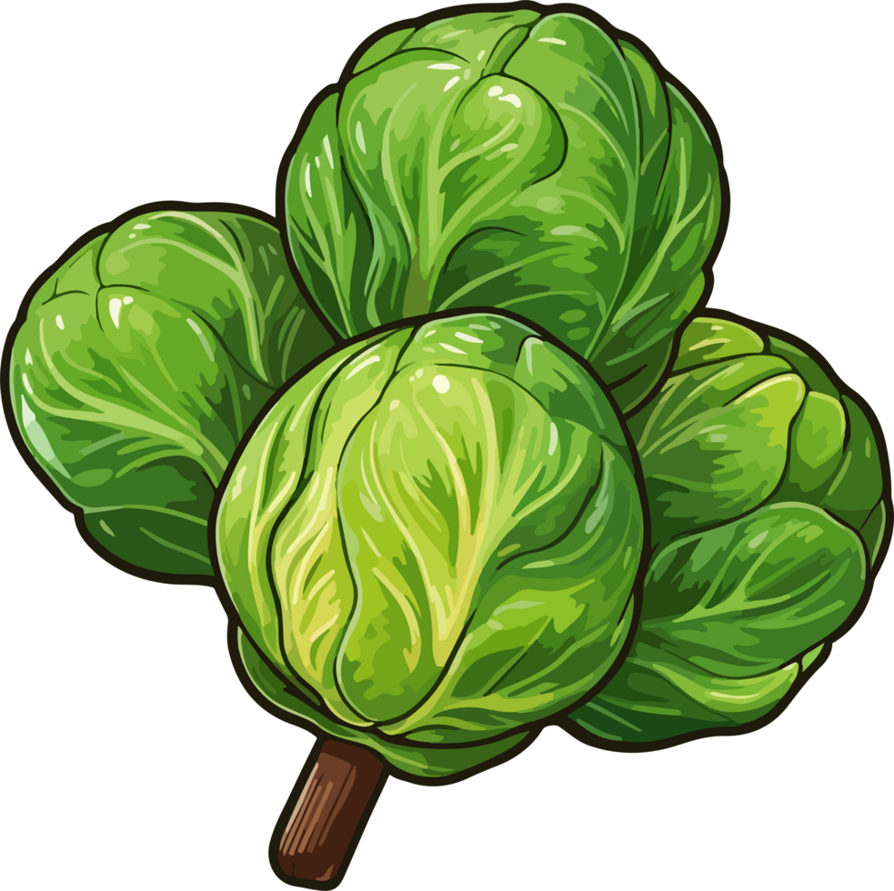 AI generated Brussels sprout clipart design illustration 36519260 PNG AI generated Brussels sprout clipart design illustration 36519260 PNG