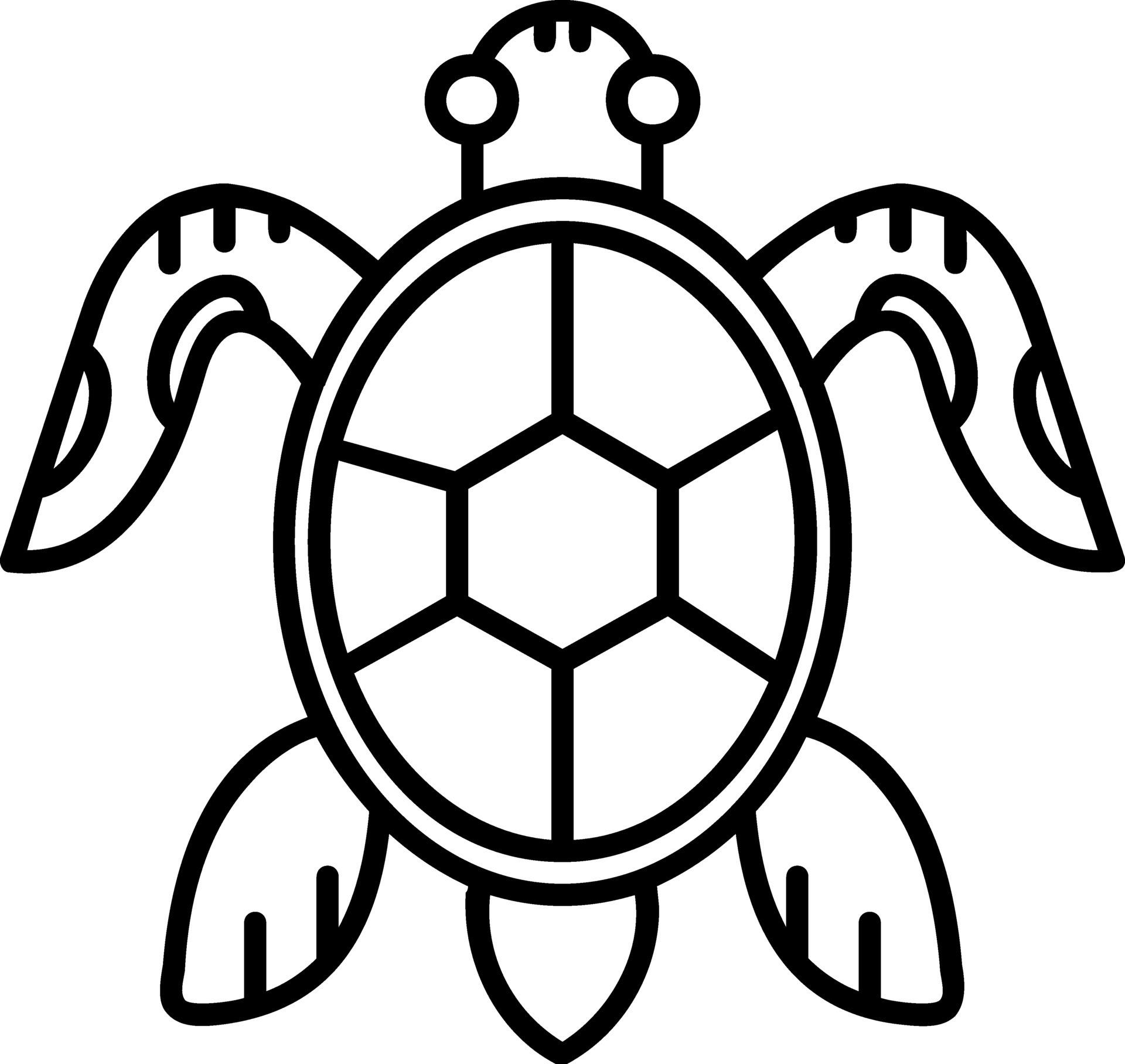 Turtle Line Icon 36532869 Vector Art at Vecteezy
