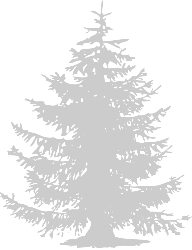 Pine Tree 36629097 Vector Art at Vecteezy