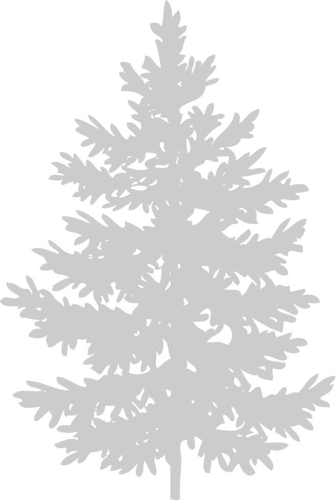 Pine Tree 36629103 Vector Art at Vecteezy