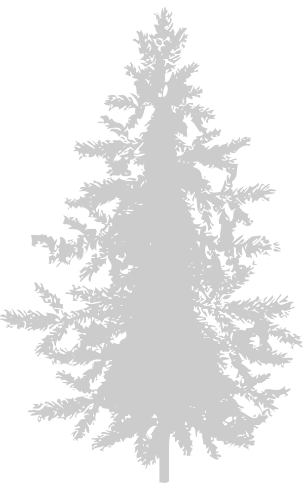 Pine Tree 36629110 Vector Art at Vecteezy