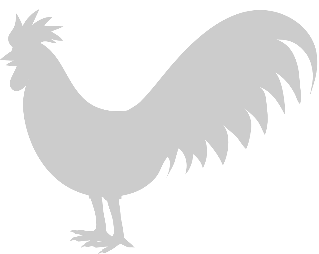 Chicken 36629708 Vector Art at Vecteezy