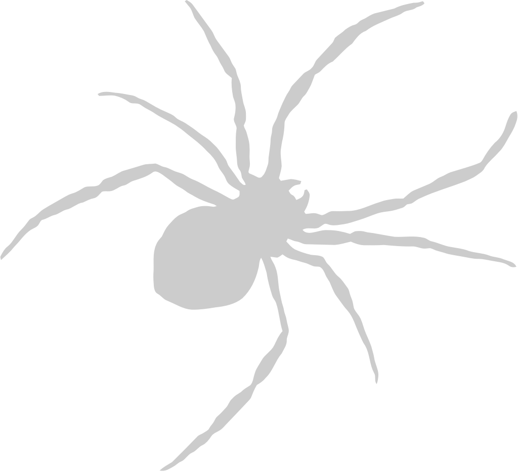 Spider 36633935 Vector Art at Vecteezy