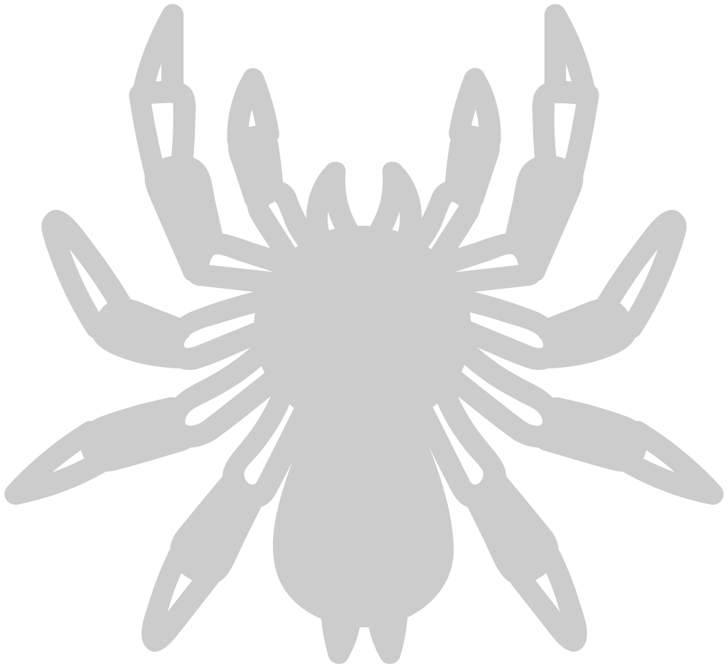 Spider 36633939 Vector Art at Vecteezy