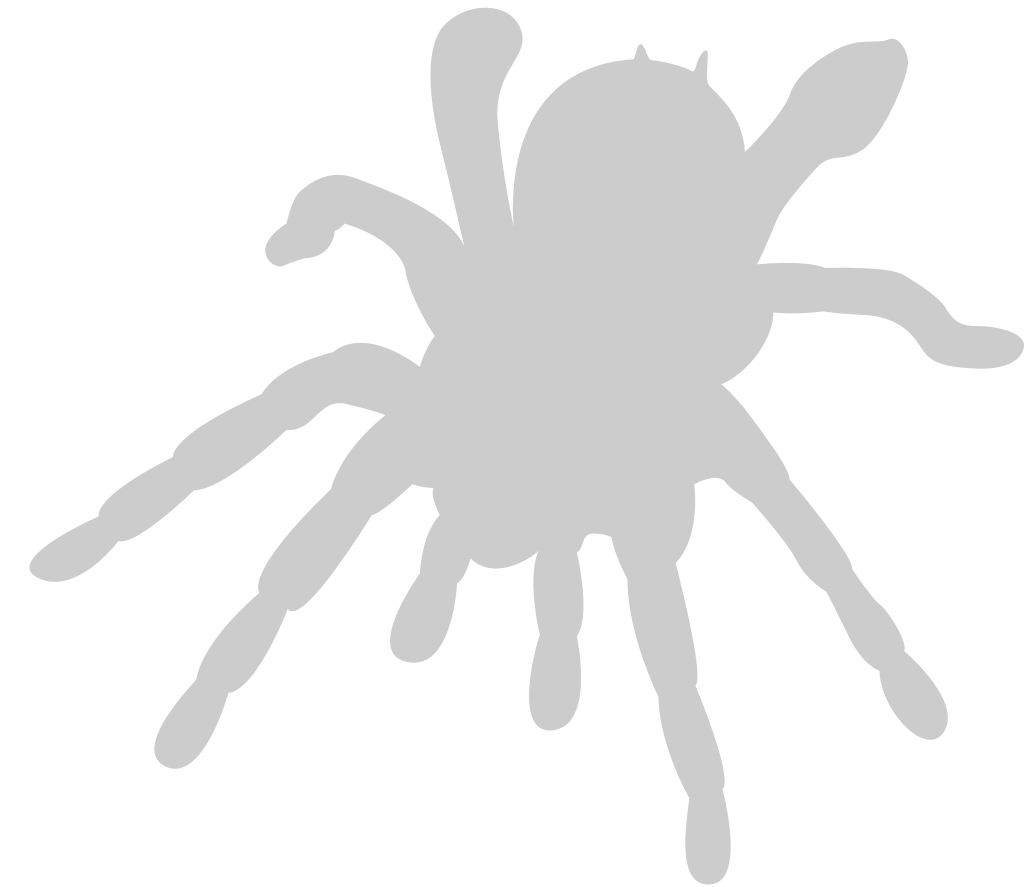 Spider 36633953 Vector Art at Vecteezy