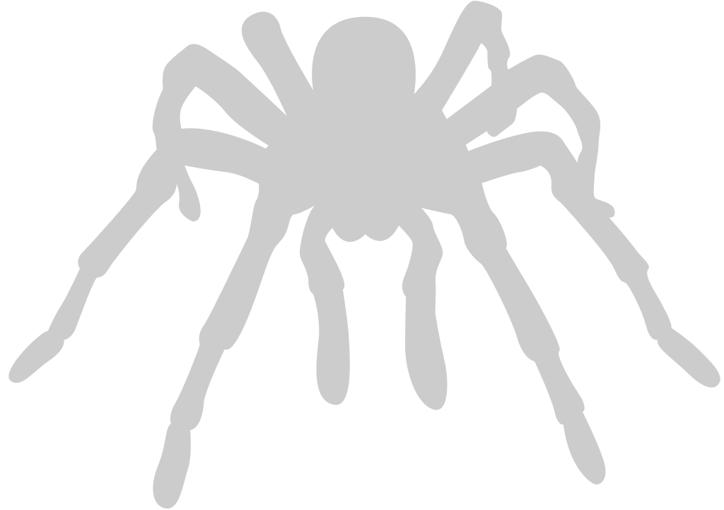 Spider 36633954 Vector Art at Vecteezy