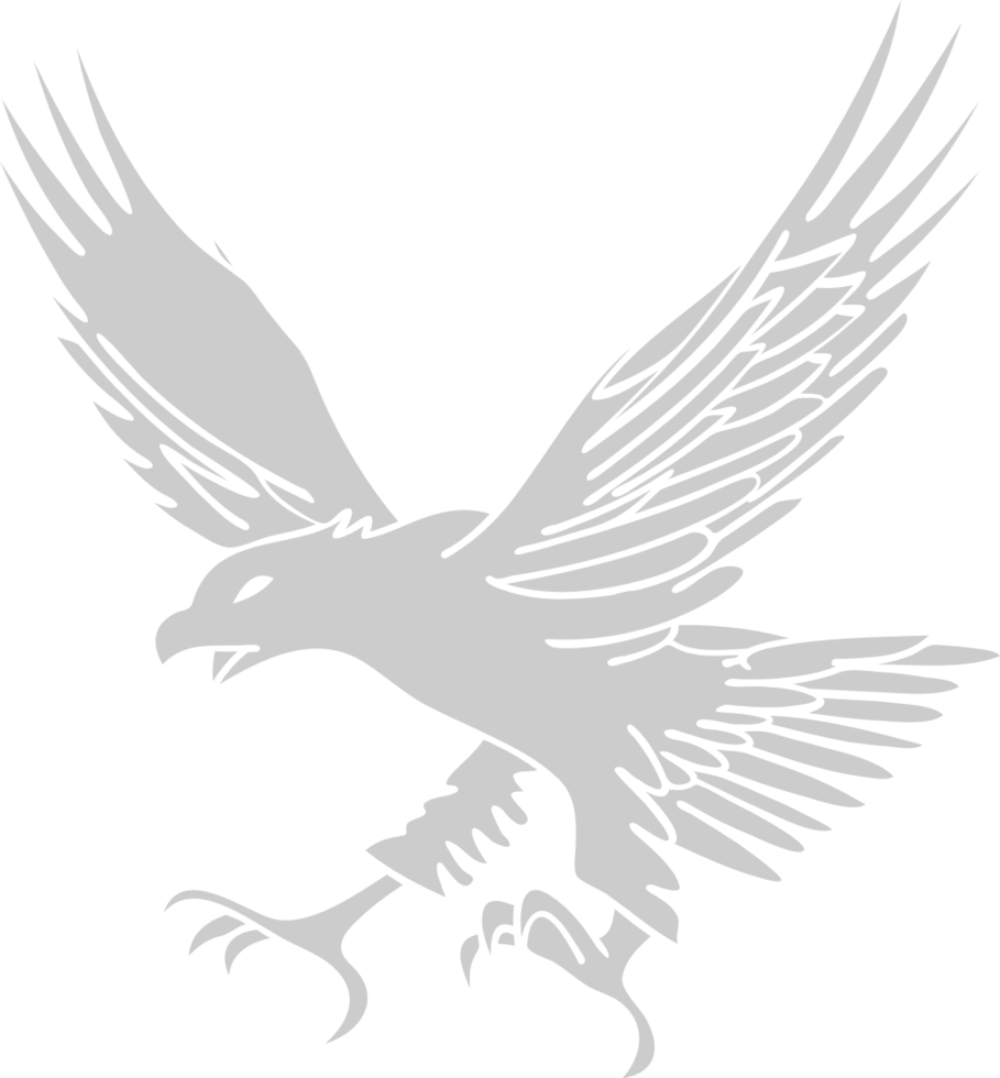 eagle 36642348 Vector Art at Vecteezy
