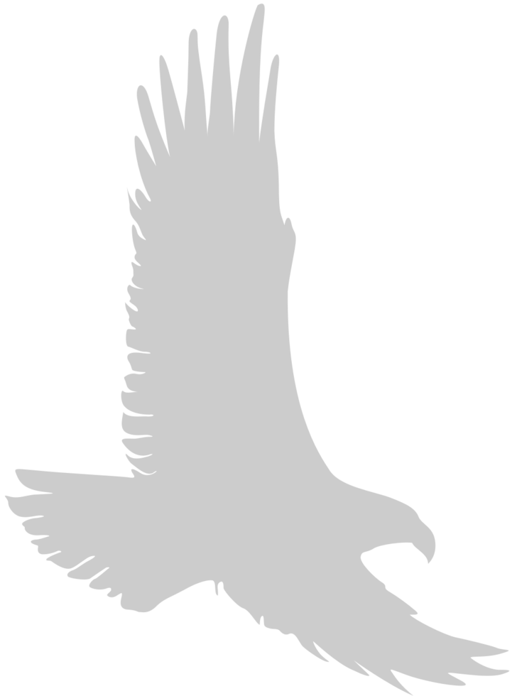 eagle 36642368 Vector Art at Vecteezy