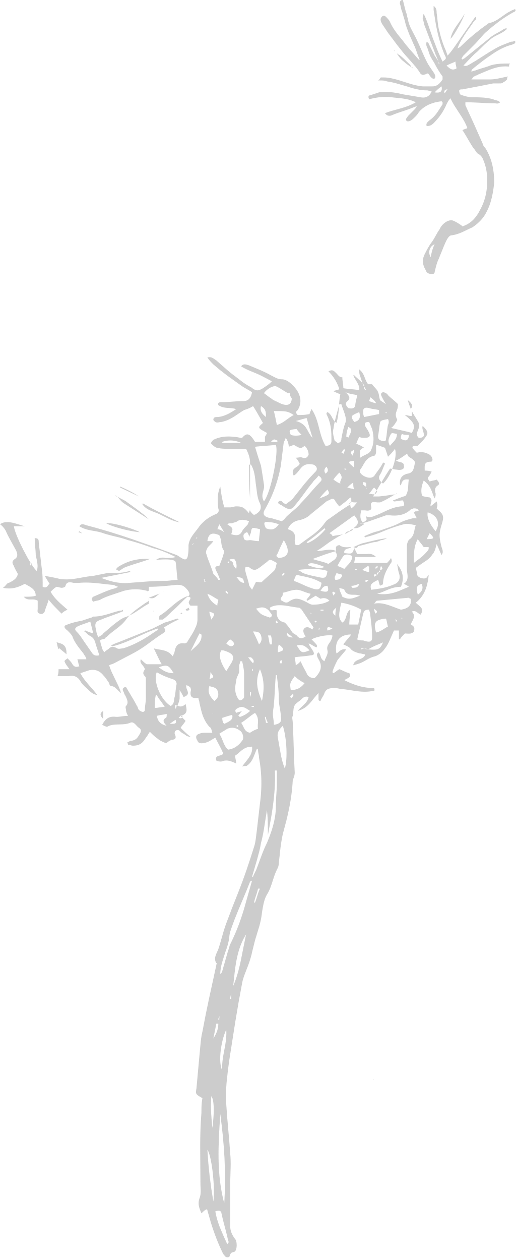 Spring 36644872 Vector Art at Vecteezy