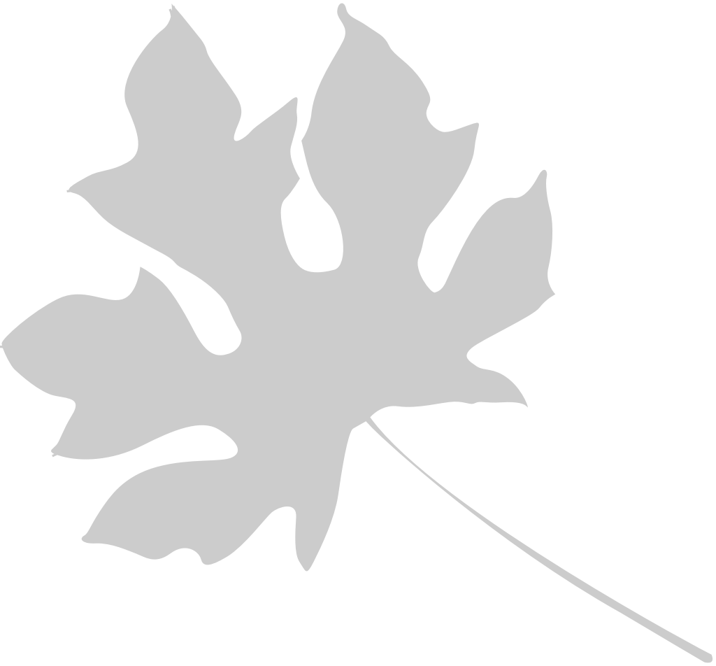 Maple Leaf 36656950 Vector Art at Vecteezy