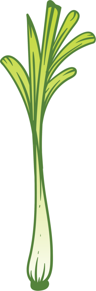 Lemongrass 36662811 Vector Art At Vecteezy