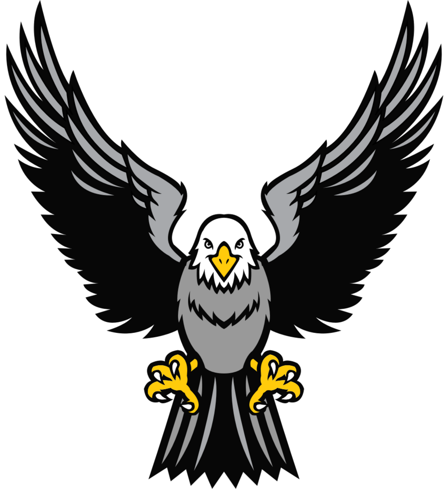 Eagle 36666733 Vector Art at Vecteezy