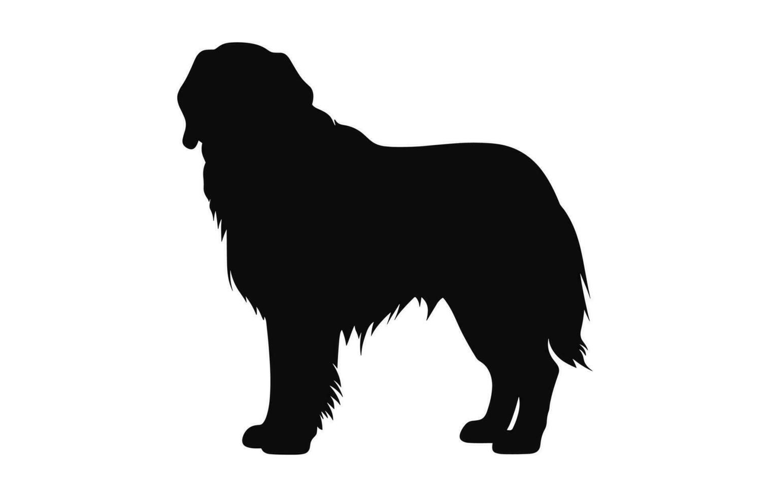 Saint Bernard Dog vector black Silhouette isolated on a white ...