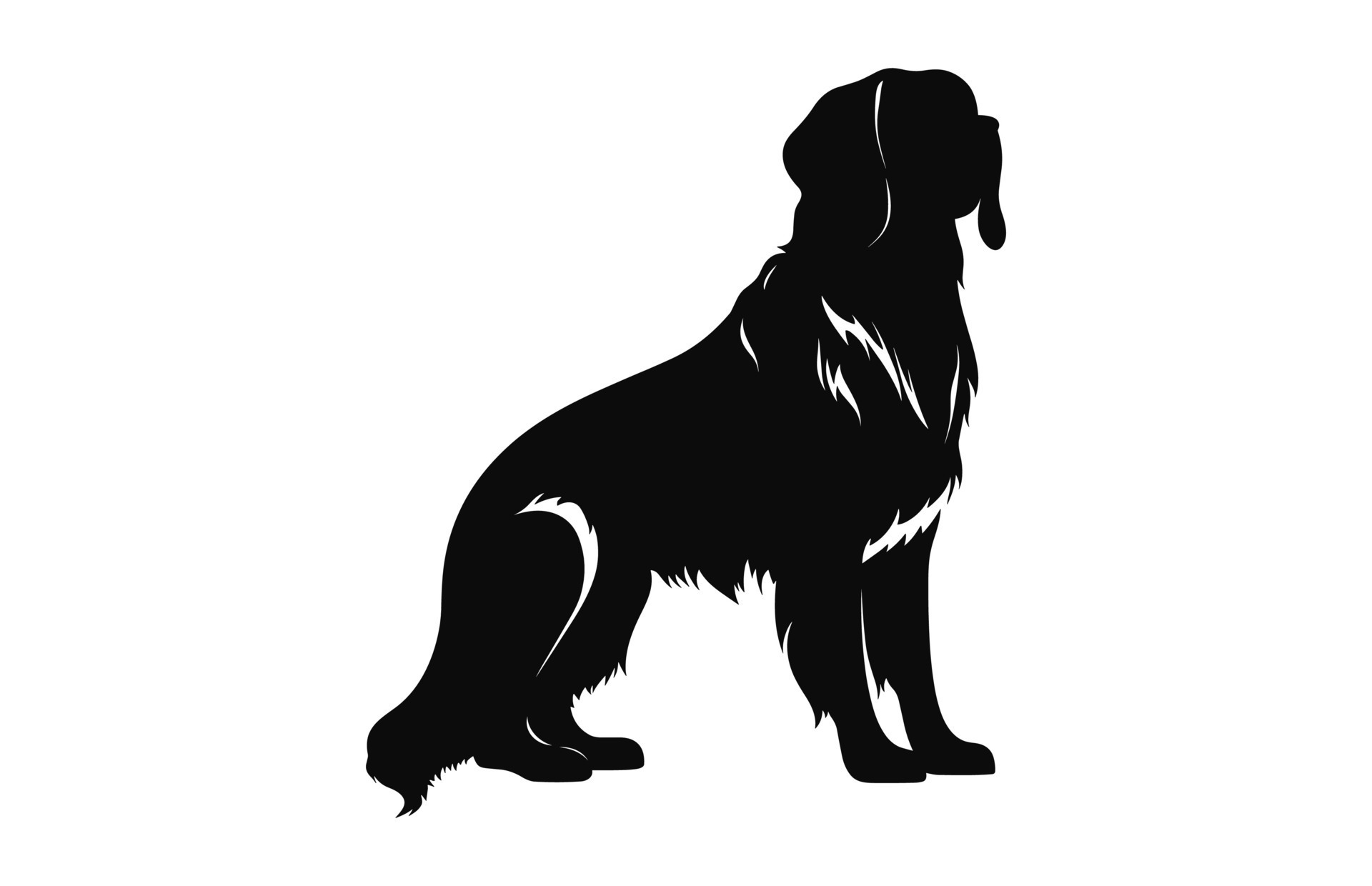 Saint Bernard Dog vector black Silhouette isolated on a white ...