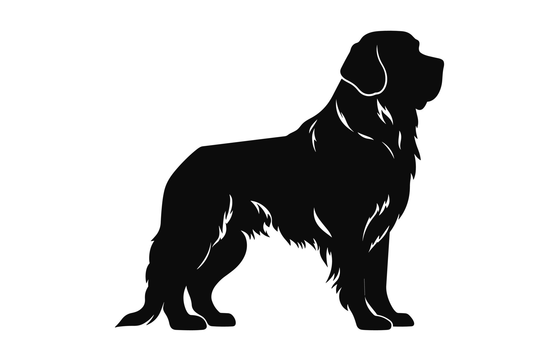 Saint Bernard Dog vector black Silhouette free 36892987 Vector Art at ...