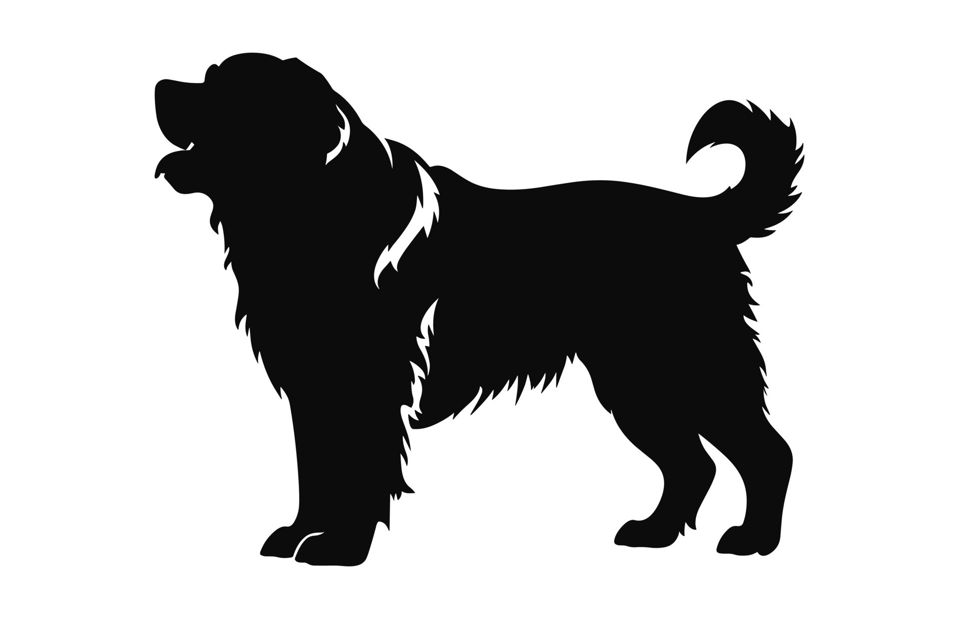 Saint Bernard Dog vector black Silhouette isolated on a white ...