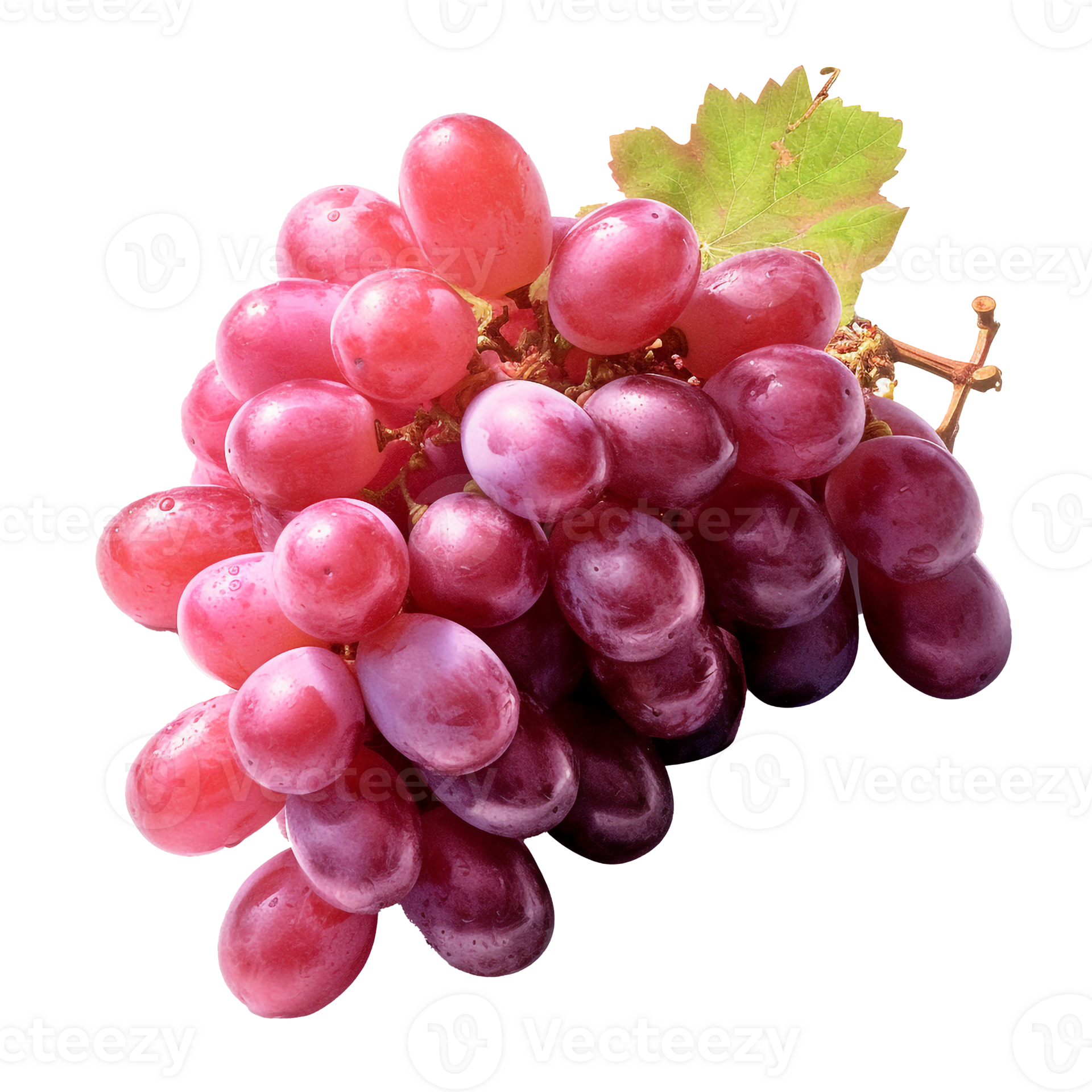 Grape png isolated Red Grape bunch transparent background Grape png isolated yellow Grape bunch ...