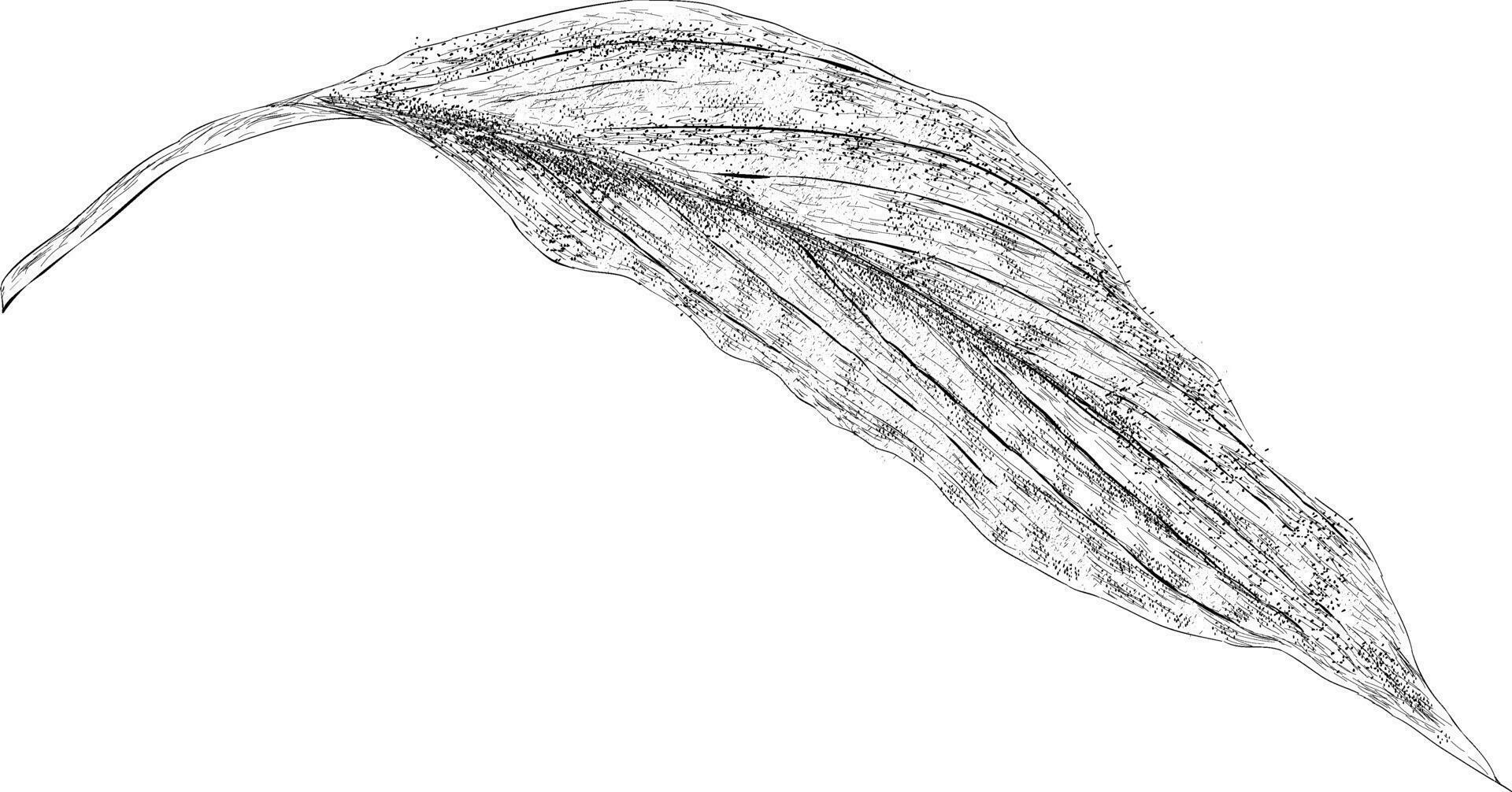 Trendy Linear Leaf 36902670 Vector Art At Vecteezy