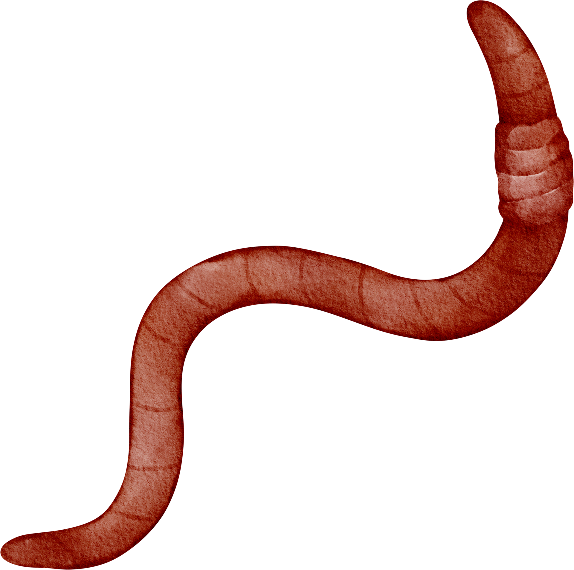 Download Clip Royalty Free Library Earthworm Worm Png Worms Download Clip Royalty Free Library Earthworm Worm Png Worms