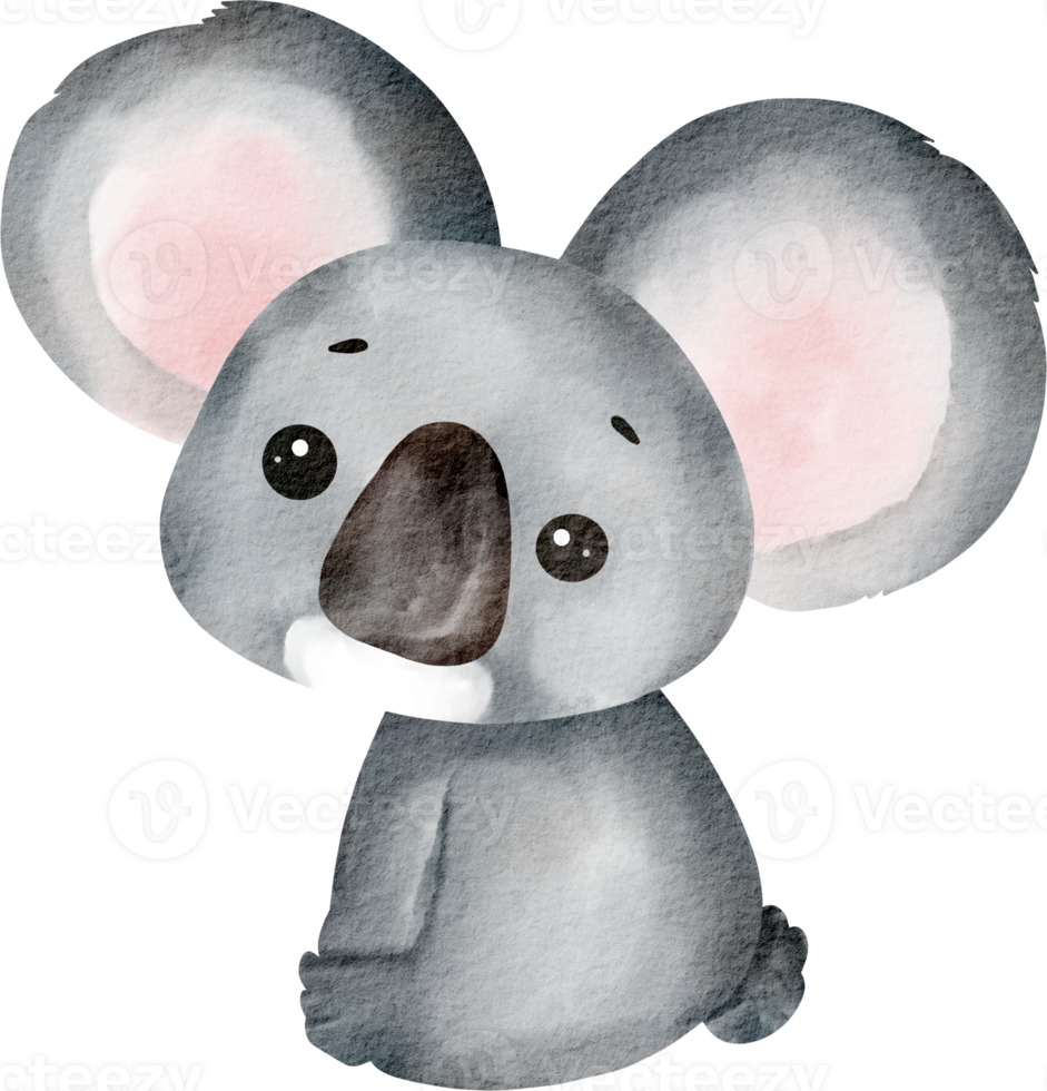 watercolor animal koala 36909492 PNG