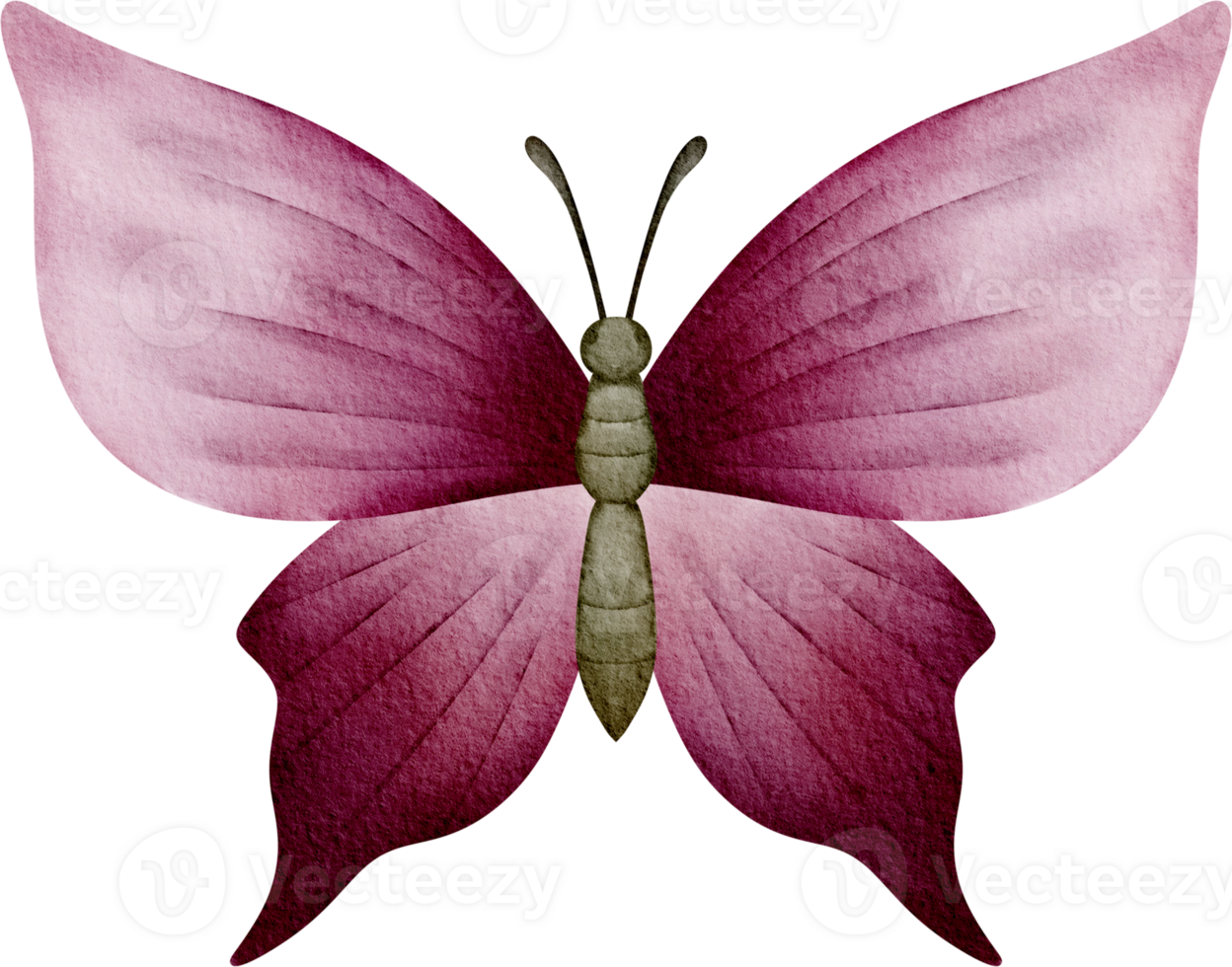Watercolor Purple Butterfly 36909510 Png