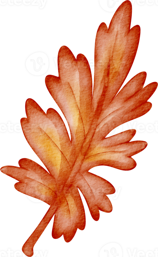 watercolor autumn leaves clip art 36910531 PNG