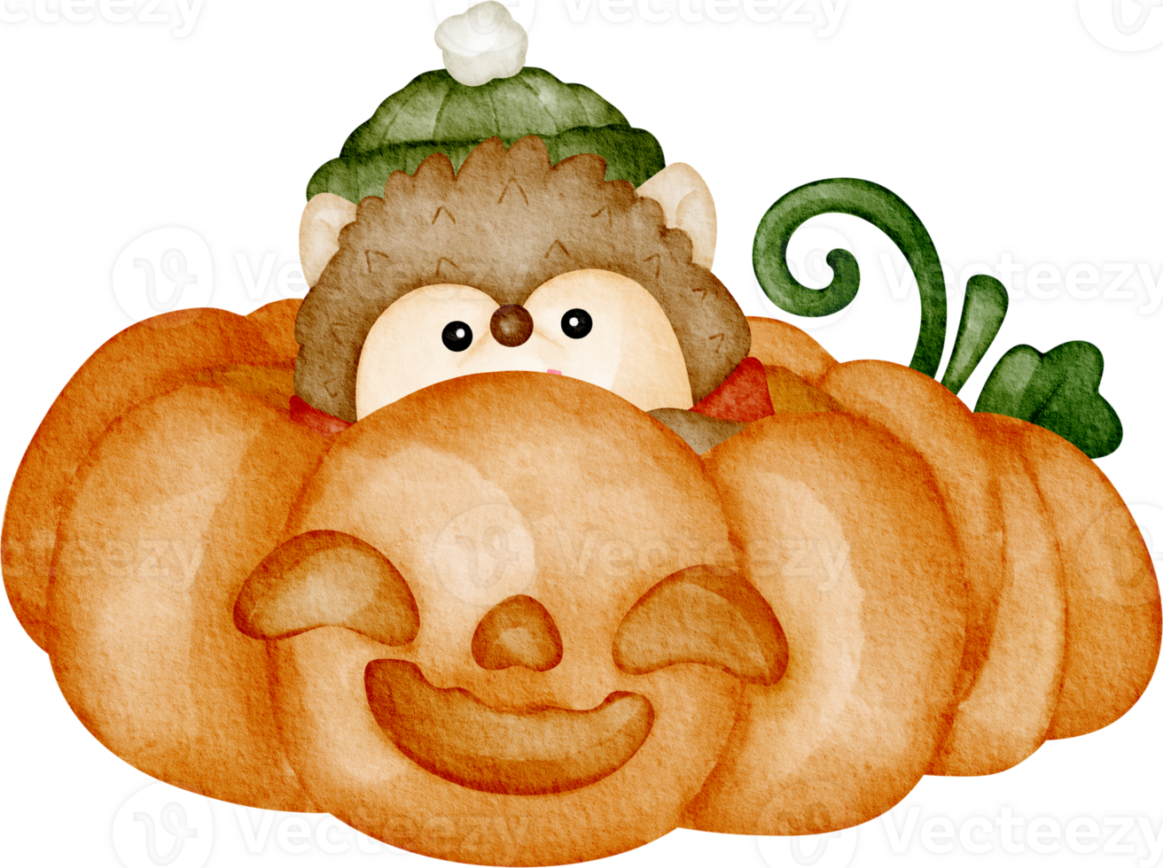 watercolor cute porcupine 36910565 PNG
