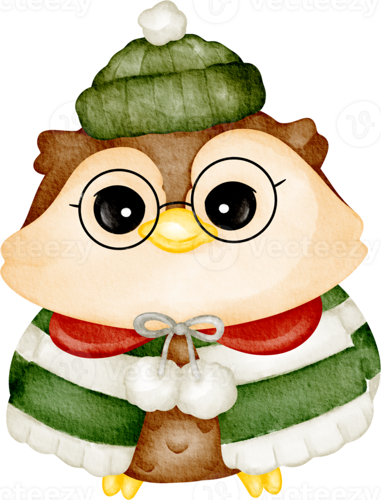 watercolor cute owl 36910581 PNG