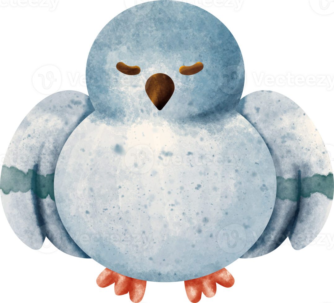 watercolor pigeon clip art 36912481 PNG