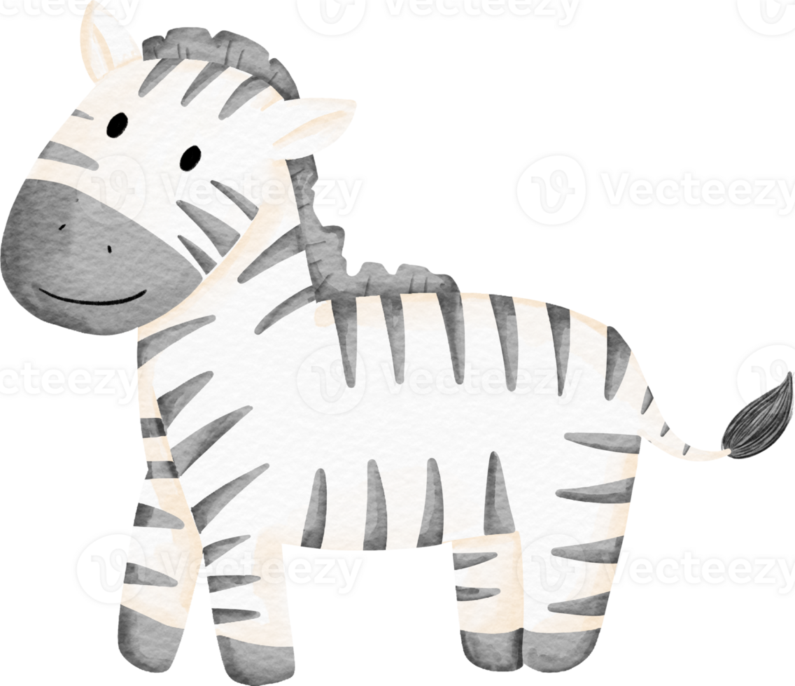 watercolor animal zebra 36913532 PNG