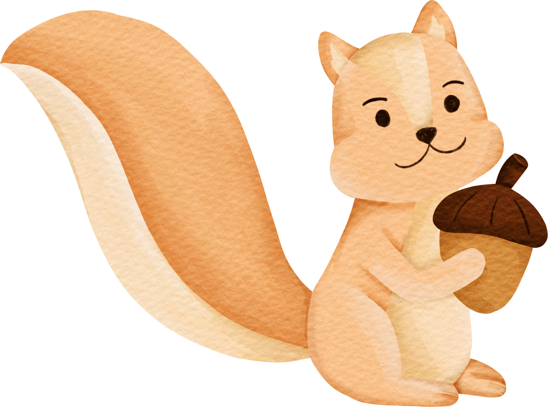 watercolor cute animal Squirrel 36913542 PNG