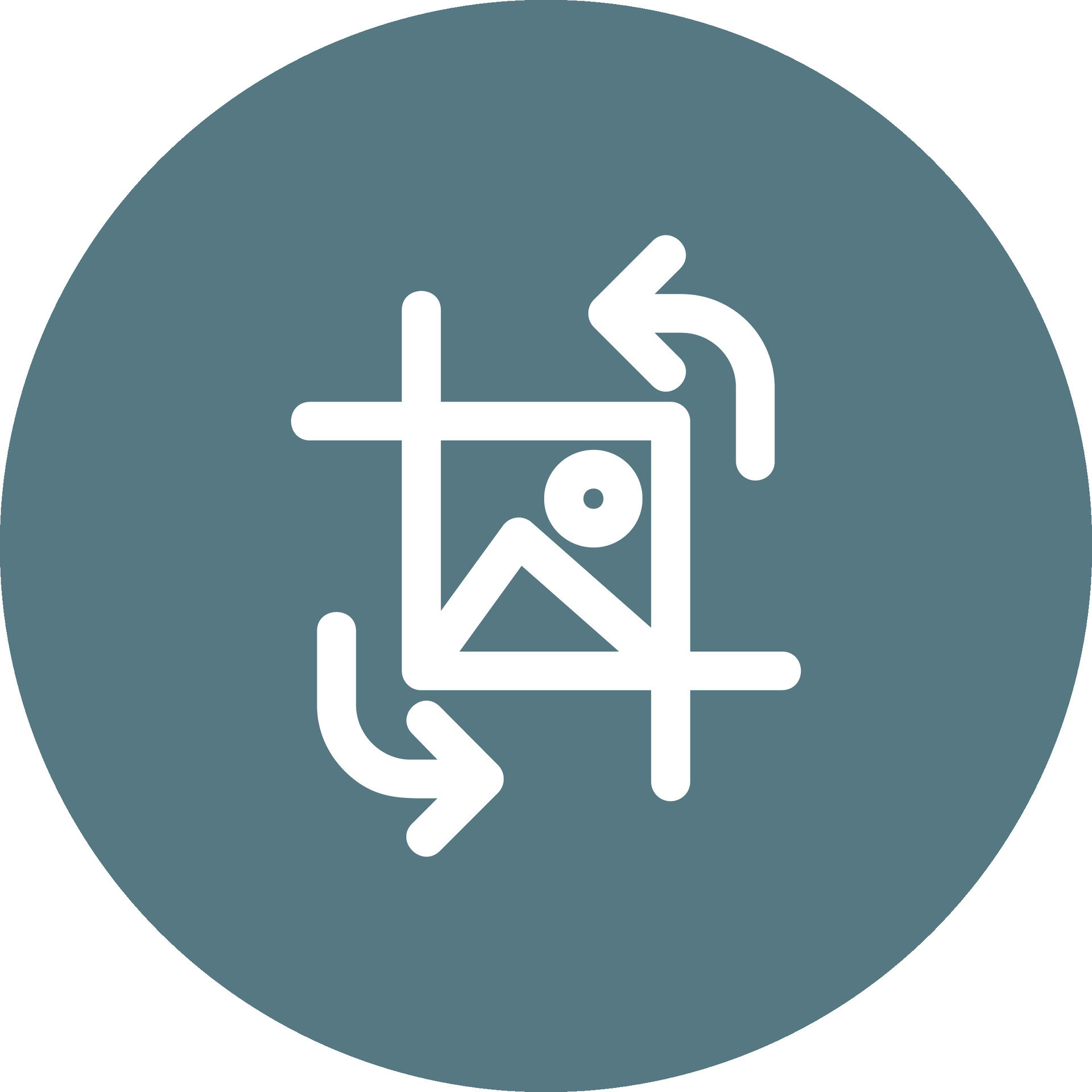 Crop And Rotate Line Color Circle Icon 36971841 Vector Art At Vecteezy