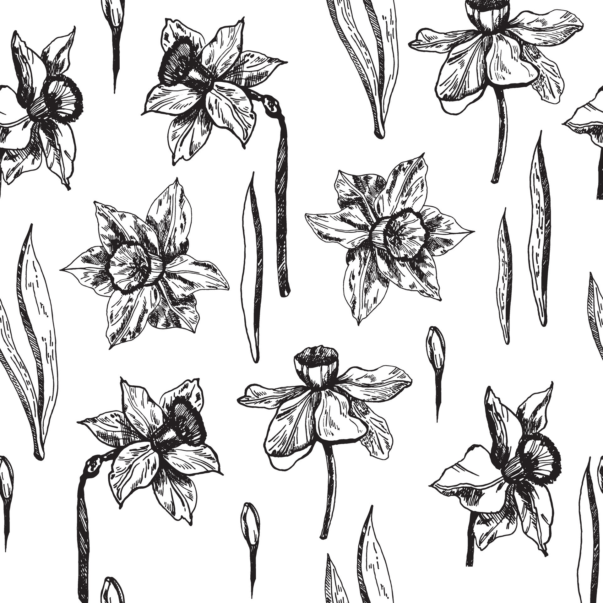 Seamless pattern with daffodil flowers, hand-drawn ink graphics. Spring ... Seamless pattern with daffodil flowers, hand-drawn ink graphics. Spring ...