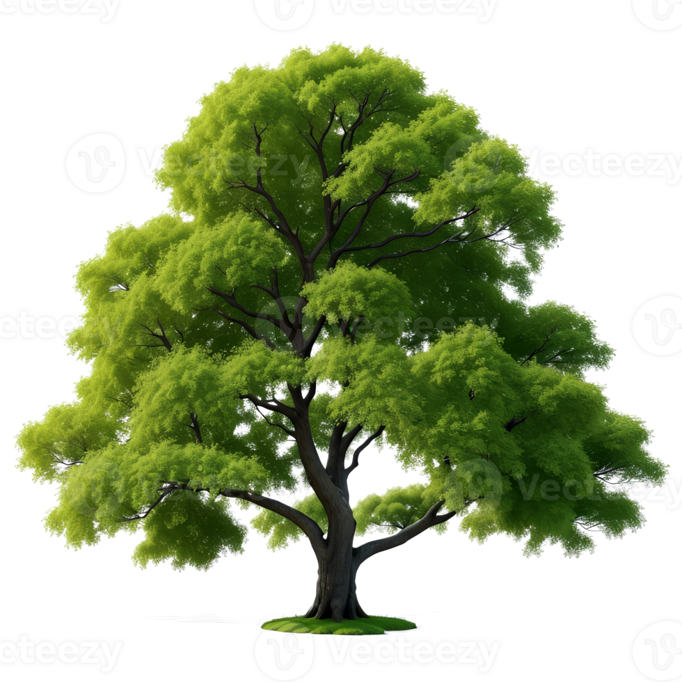 AI generated Green tree isolate on transparent background.Generative AI ...