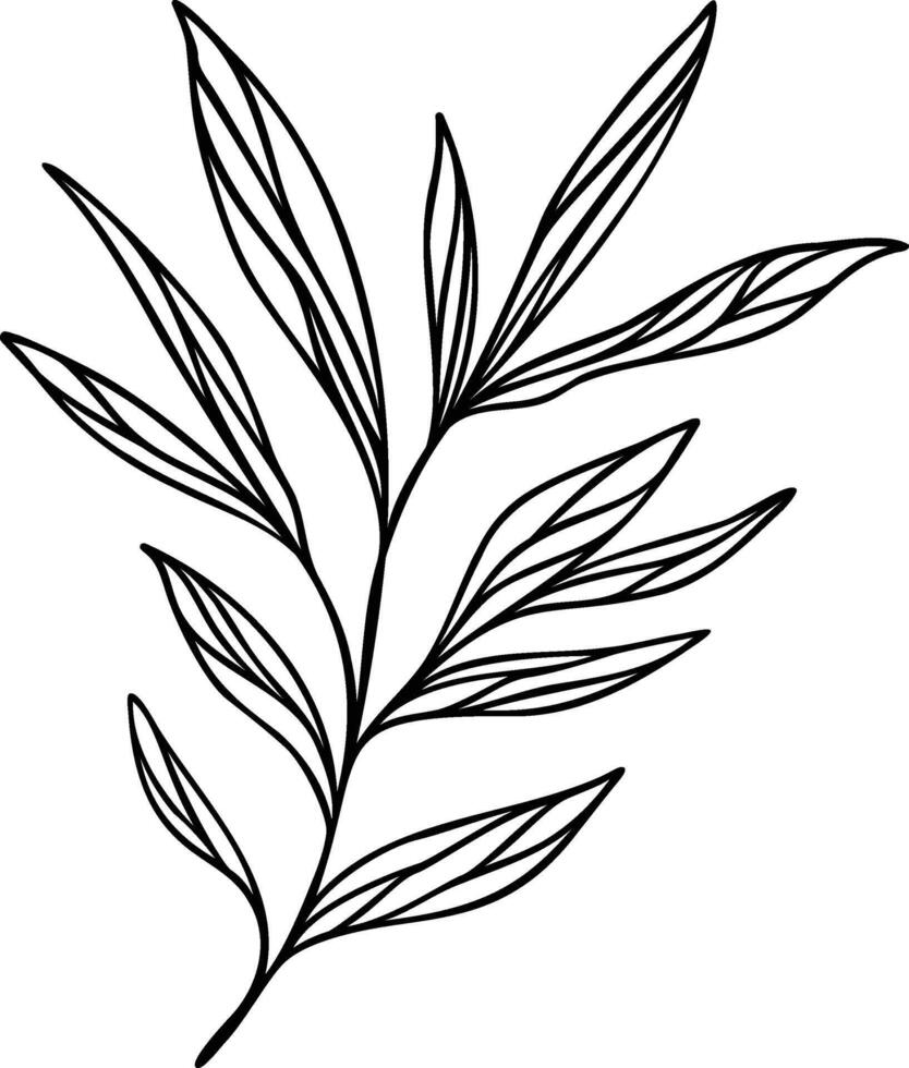 Leaf Line Art 37128531 Vector Art At Vecteezy