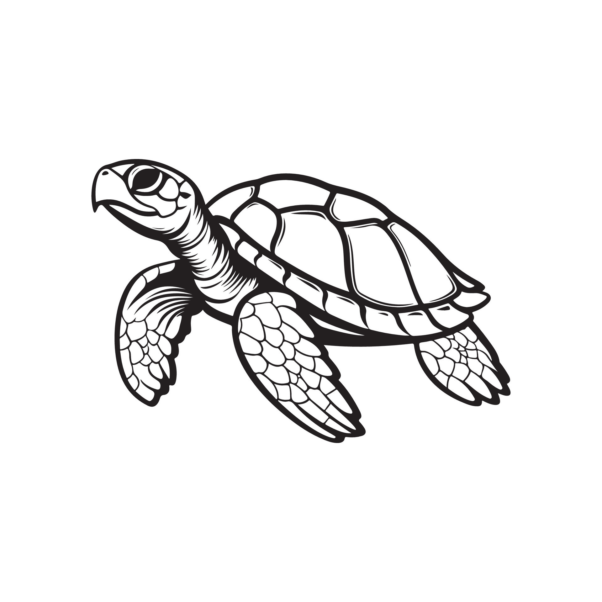 Turtle Vector Art, Icons, and Graphics 37137148 Vector Art at Vecteezy