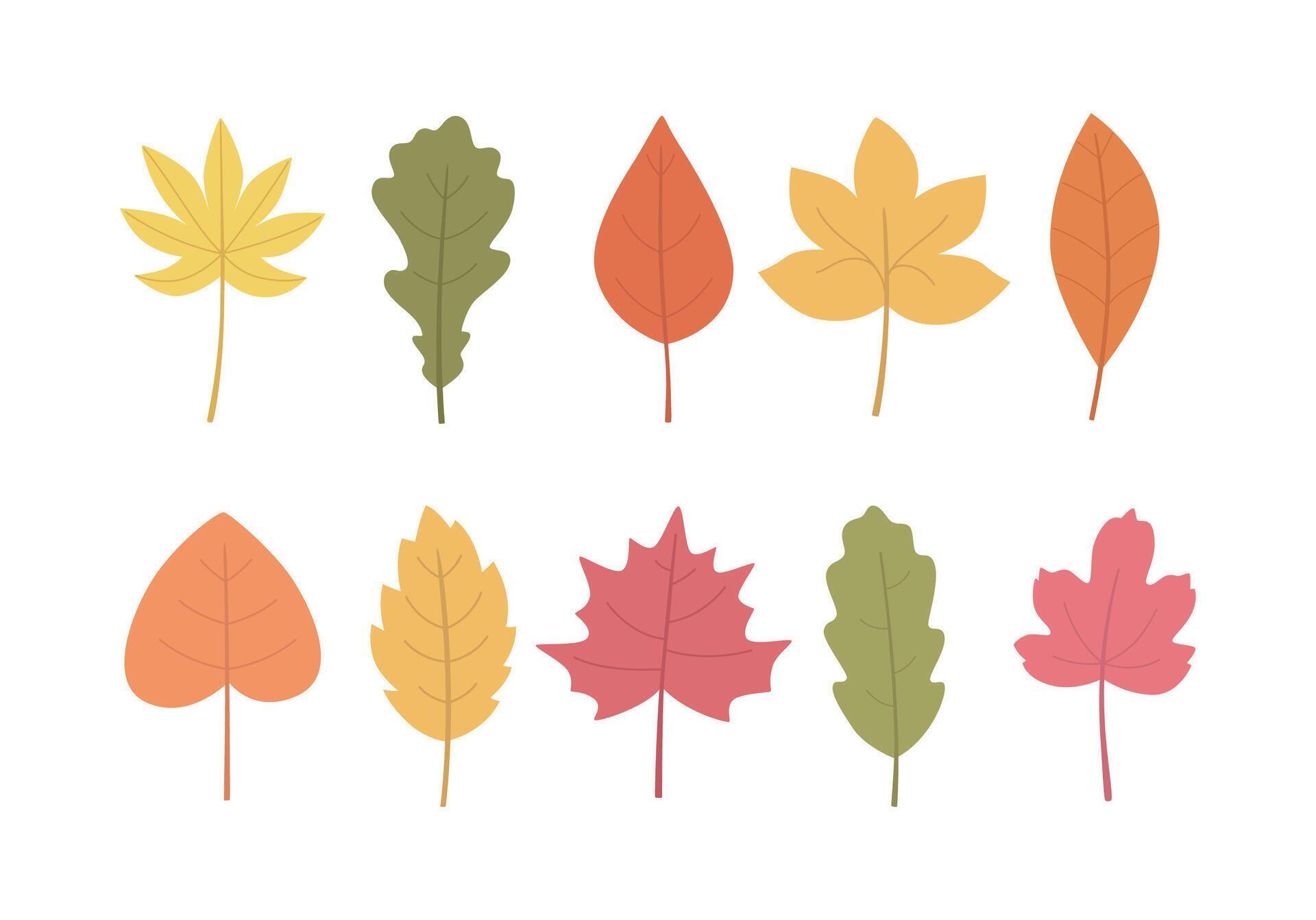 Autumn Leaves Set Isolated On White Background Hand Drawn Vector