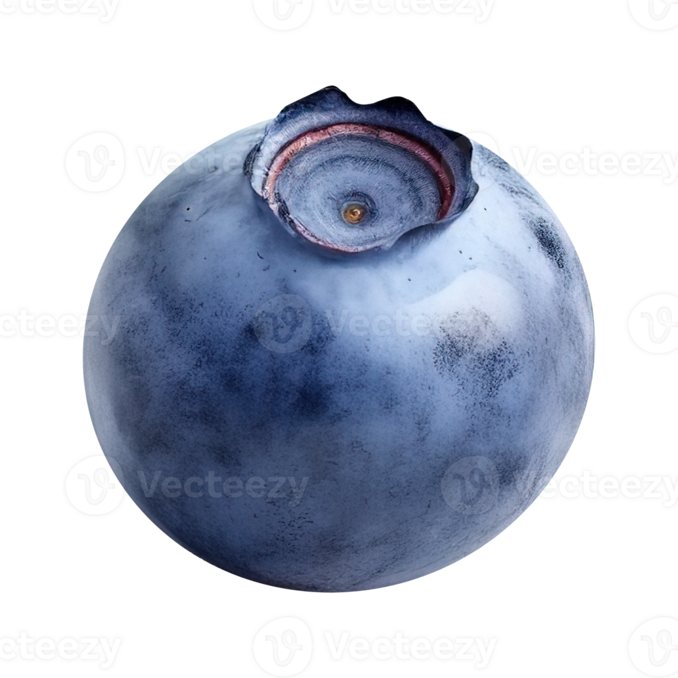 AI generated Fresh blueberry with blueberry leaves on transparent ... AI generated Fresh blueberry with blueberry leaves on transparent ...