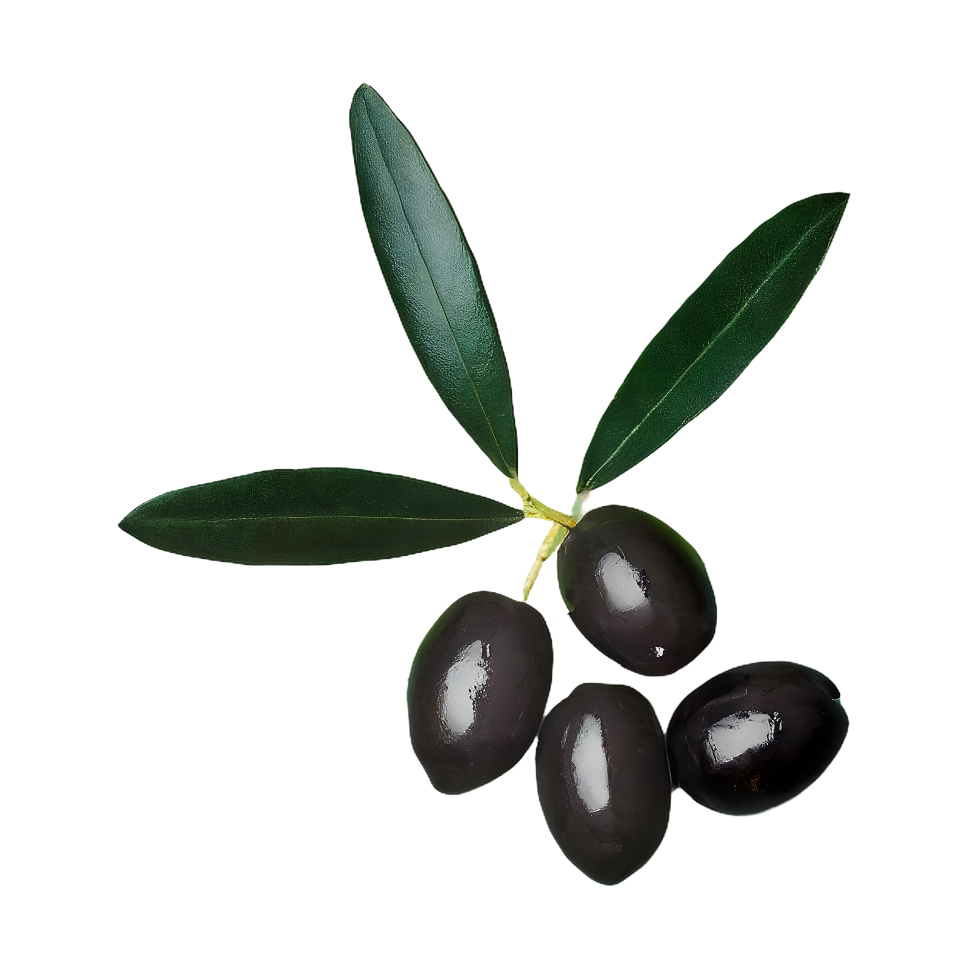 AI generated Fresh olives isolated on transparent background 37503079 PNG