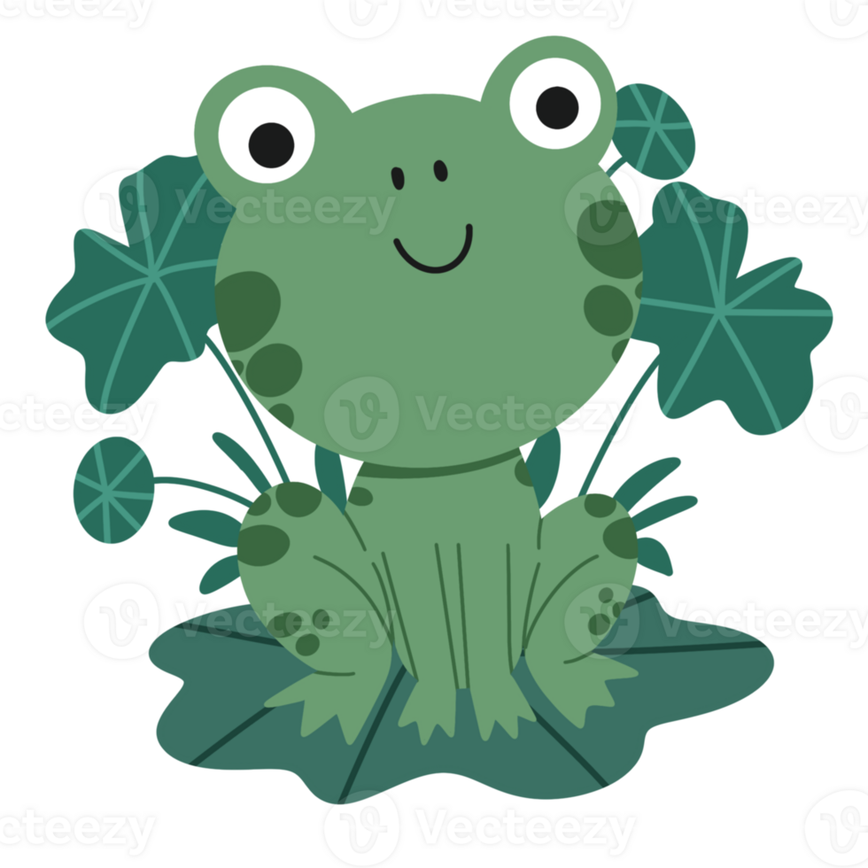 Cute Frog Character 37796835 Png