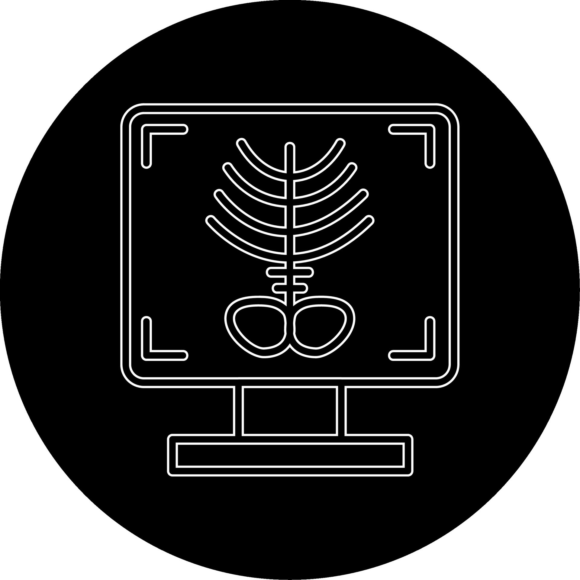 X Ray Bone Vecto Icon 37950646 Vector Art At Vecteezy