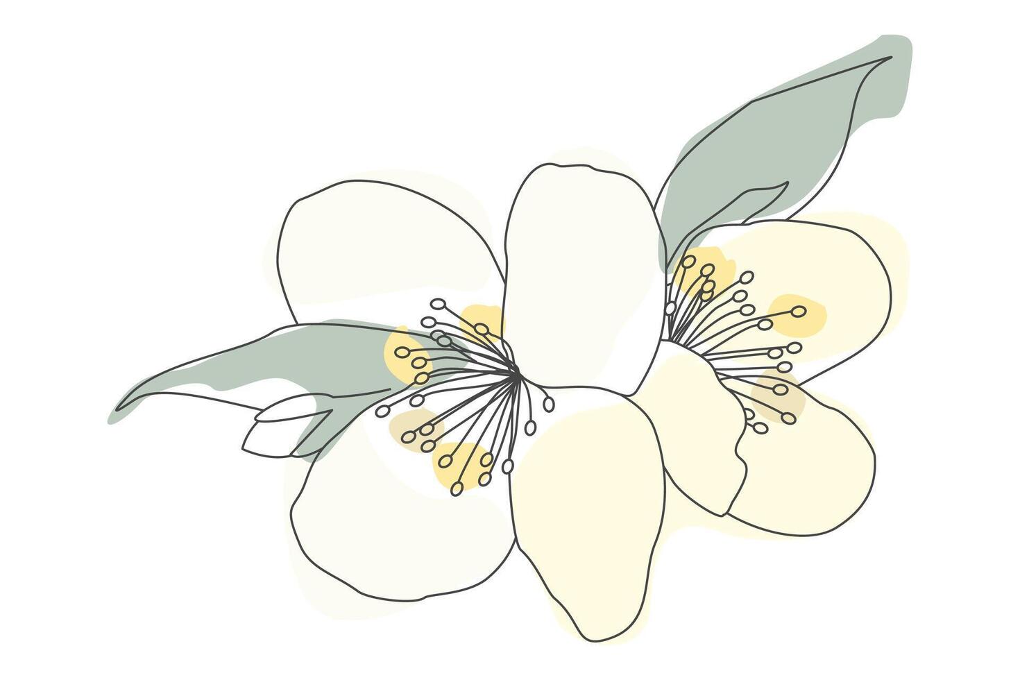 Cherry blossom branch Line art Illustration. Abstract contour drawings ... Cherry blossom branch Line art Illustration. Abstract contour drawings ...