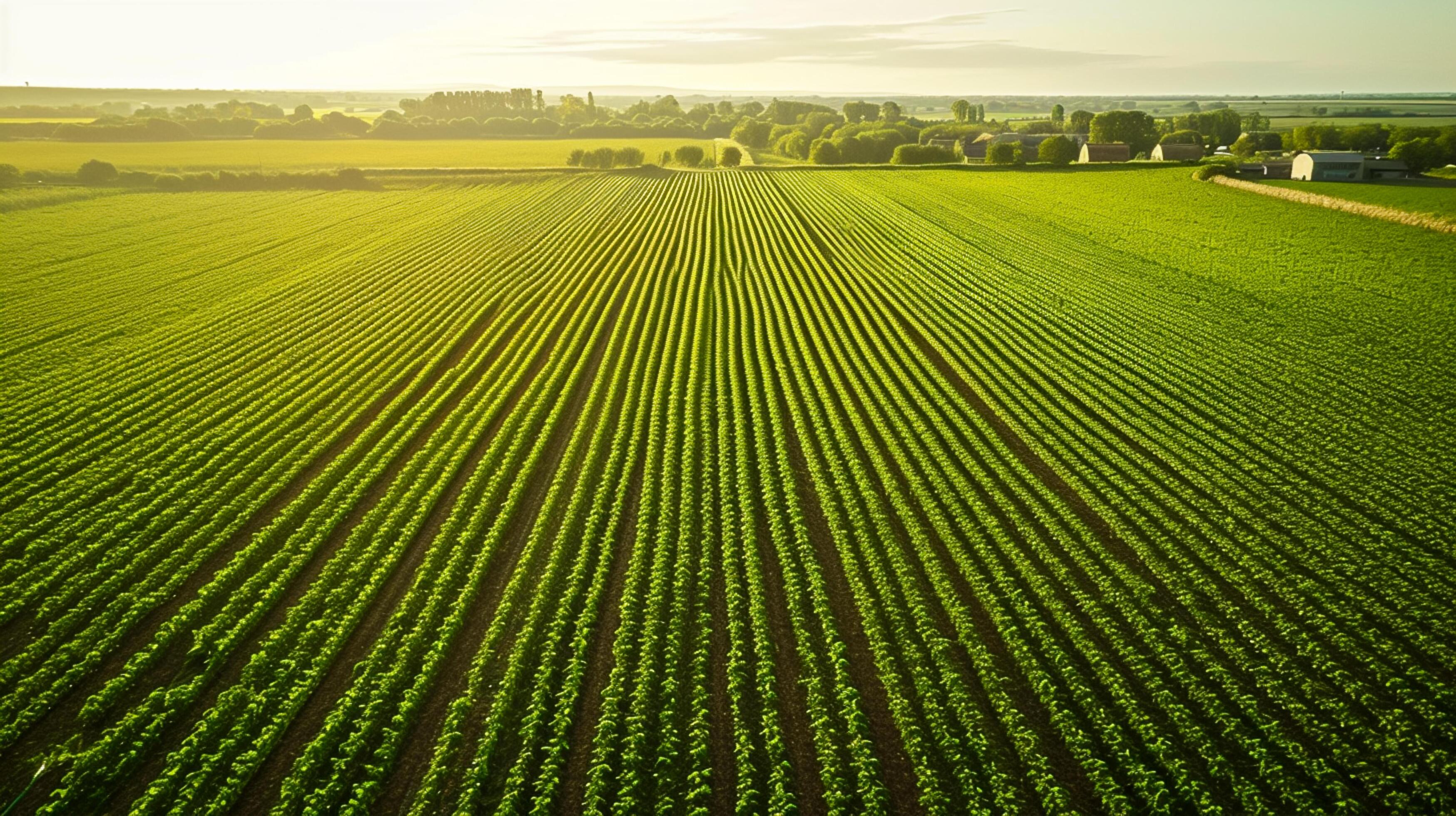 AI generated aerial view captures large, lush green field with crops ...